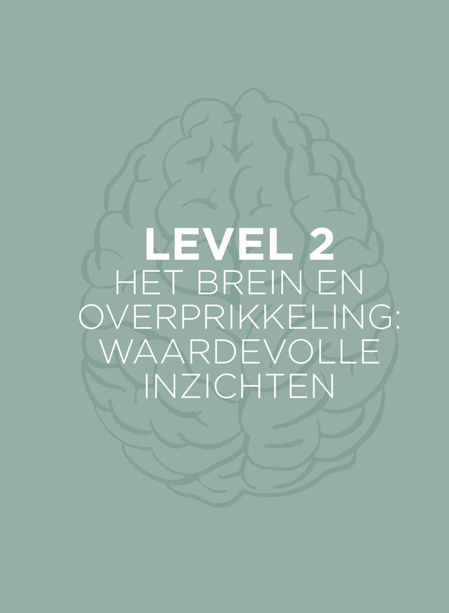 Boek Overprikkeld Brein - Charlotte Labee