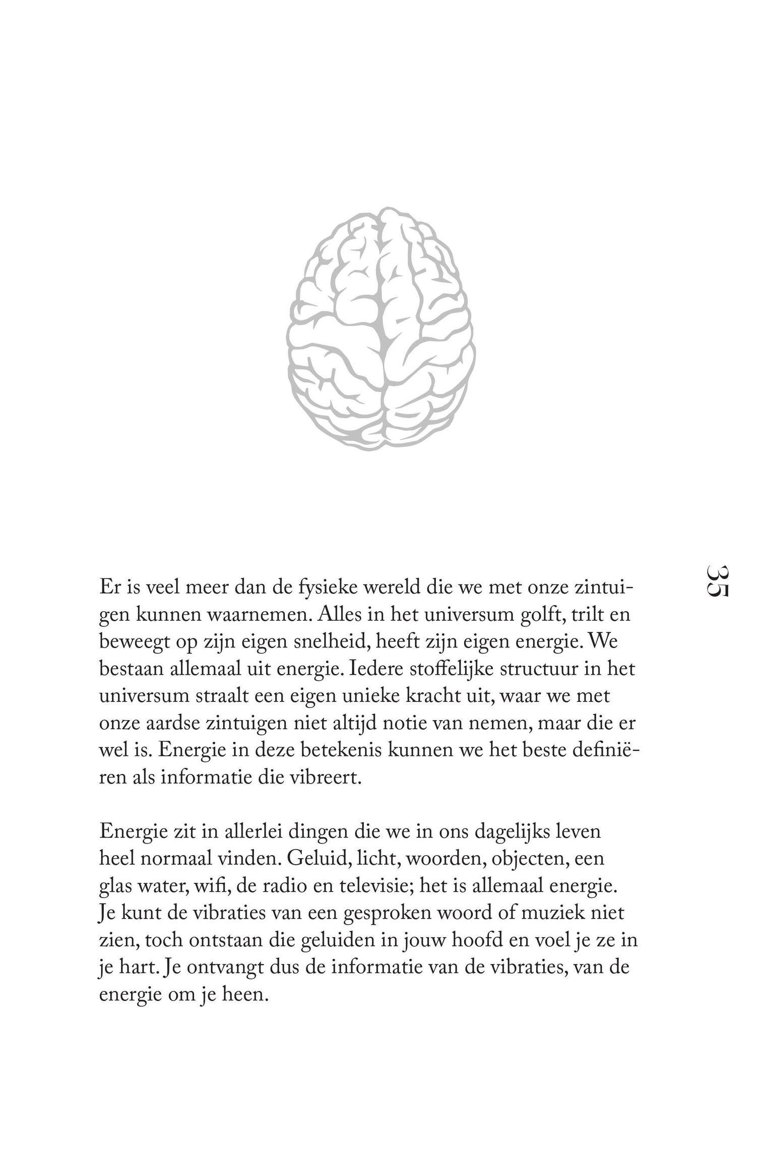 Jouw Krachtige Brein boek - Charlotte Labee